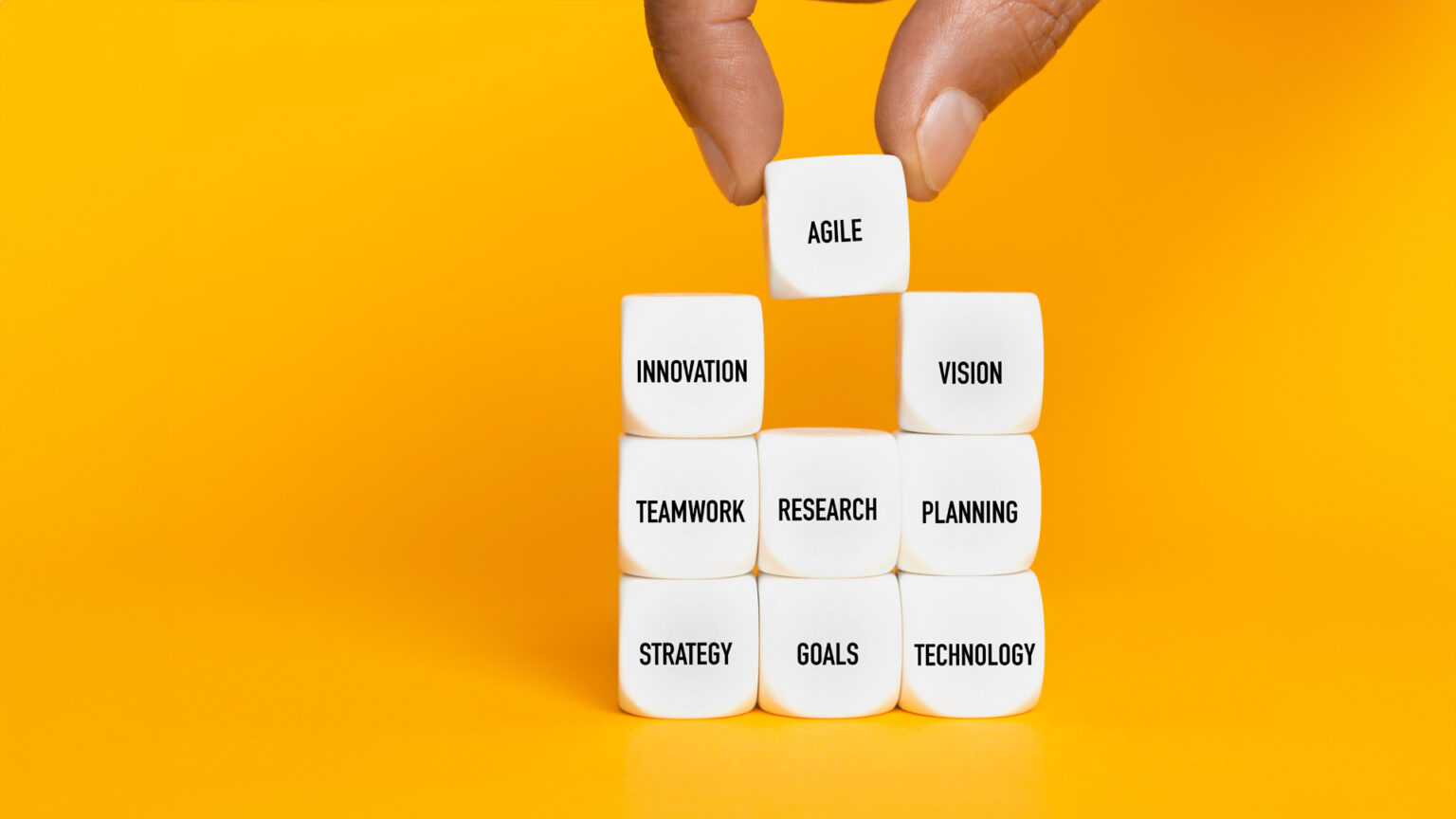 Mission/Vision – Panthera BioSolutions